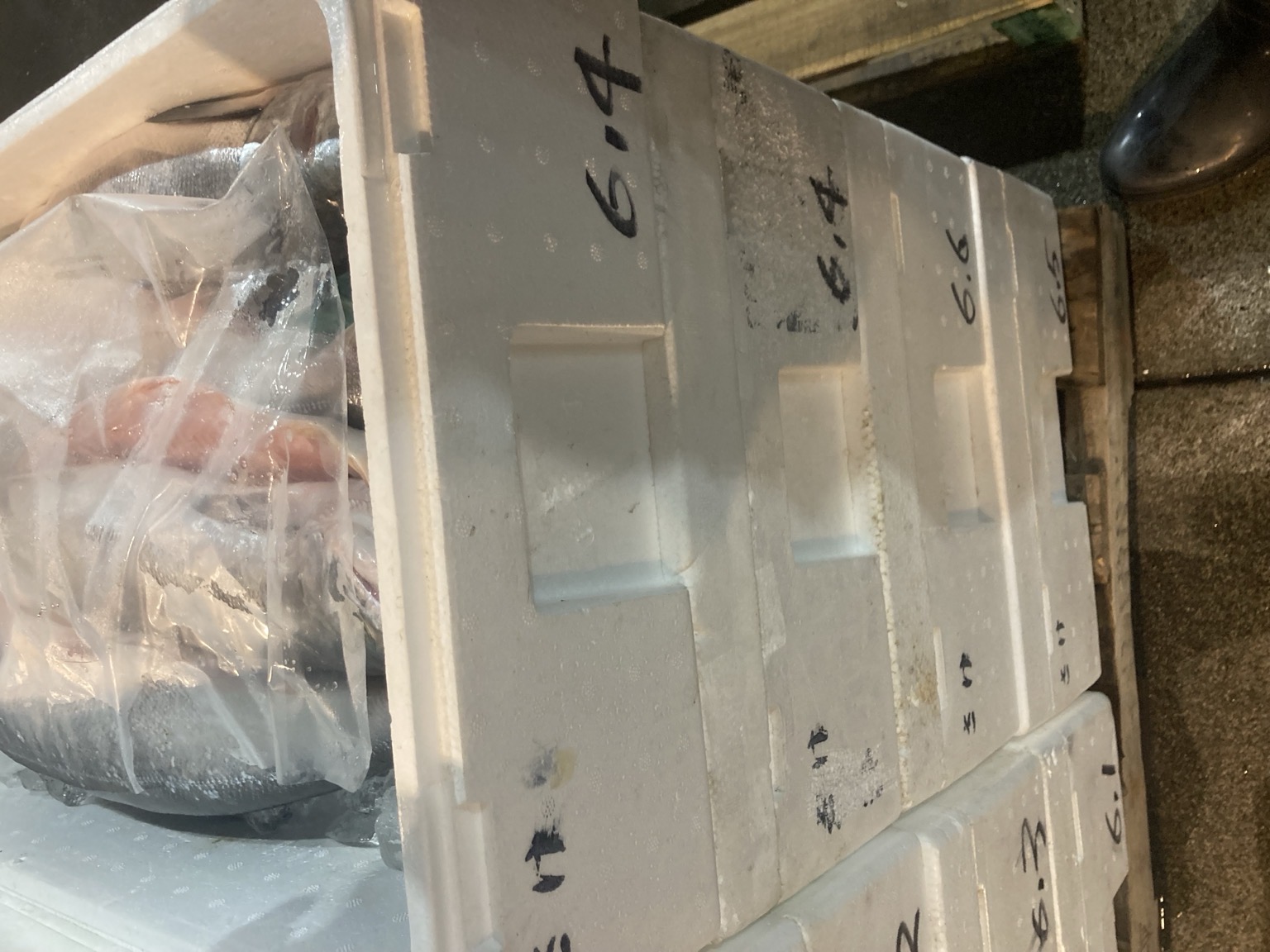 サケ（時不知）4入約6.2kg | UUUO(ウーオ)