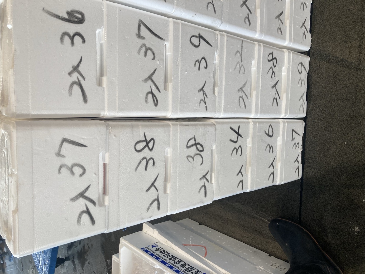 サケ（時不知）2入約3.4kg(沿岸) | UUUO(ウーオ)