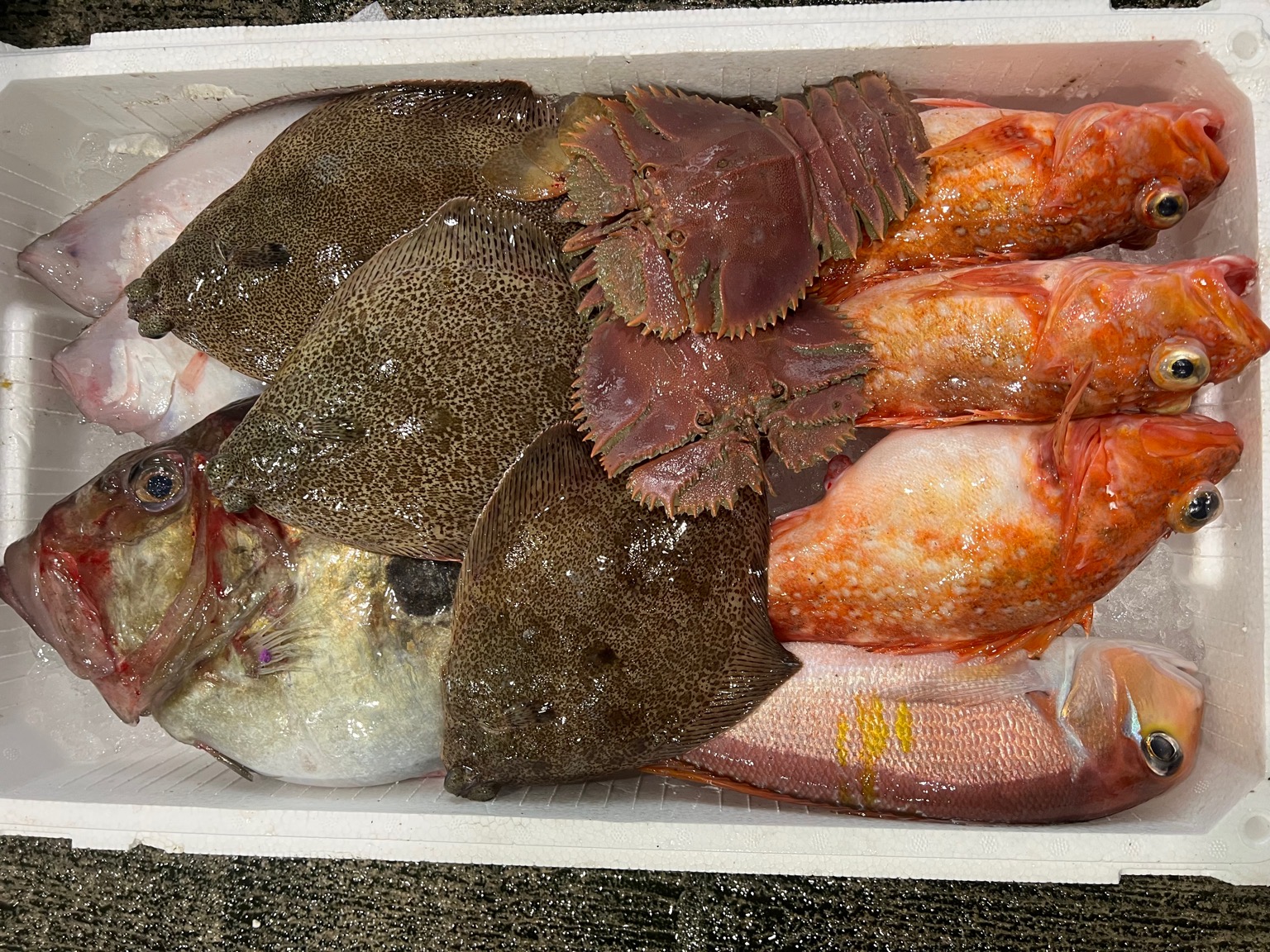 鮮魚BOX約4.5kg(底曳) | UUUO(ウーオ)