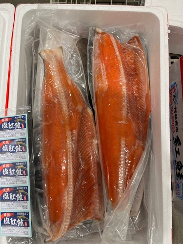紅鮭約8kg | UUUO(ウーオ)