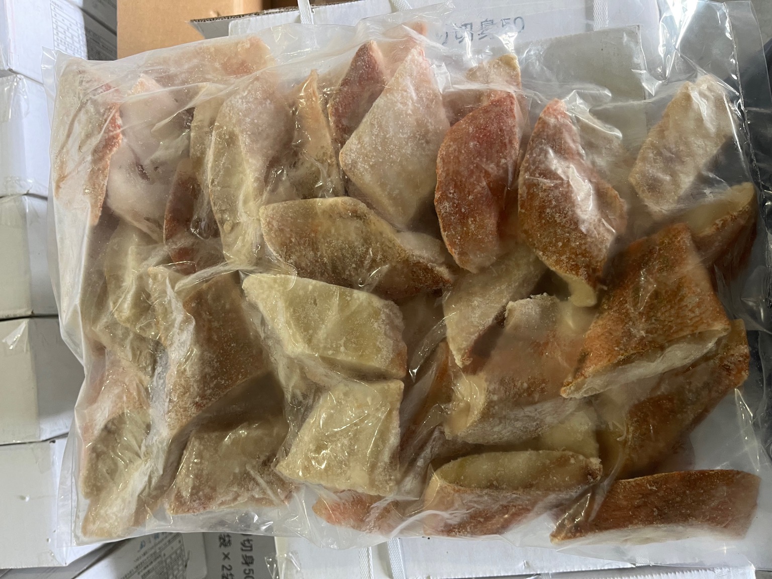 アカウオ約10kg | UUUO(ウーオ)