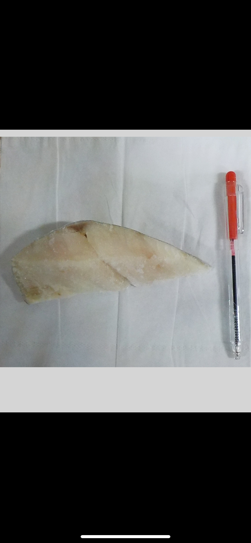 メダイ200入約12kg | UUUO(ウーオ)