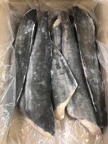 銀ダラ（冷凍） | UUUO(ウーオ)