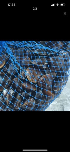 シジミ | UUUO(ウーオ)