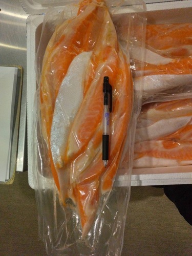 銀鮭約8kg | UUUO(ウーオ)