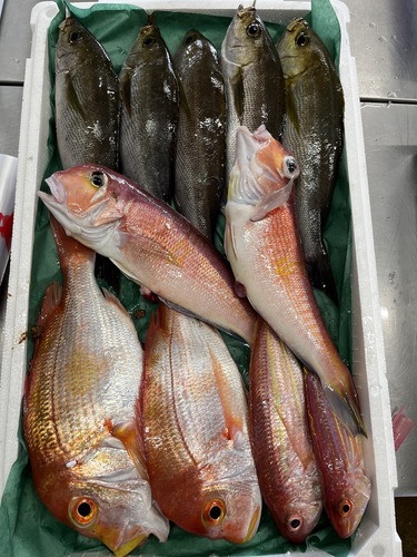 鮮魚BOX | UUUO(ウーオ)