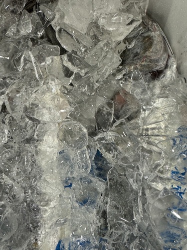 サワラ6入約7.5kg(定置) | UUUO(ウーオ)