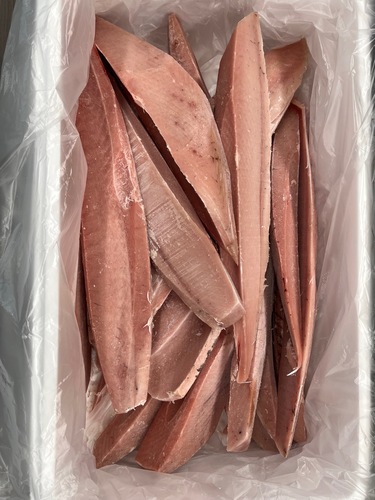 キハダマグロ（冷凍）2.5上原料約10kg | UUUO(ウーオ)