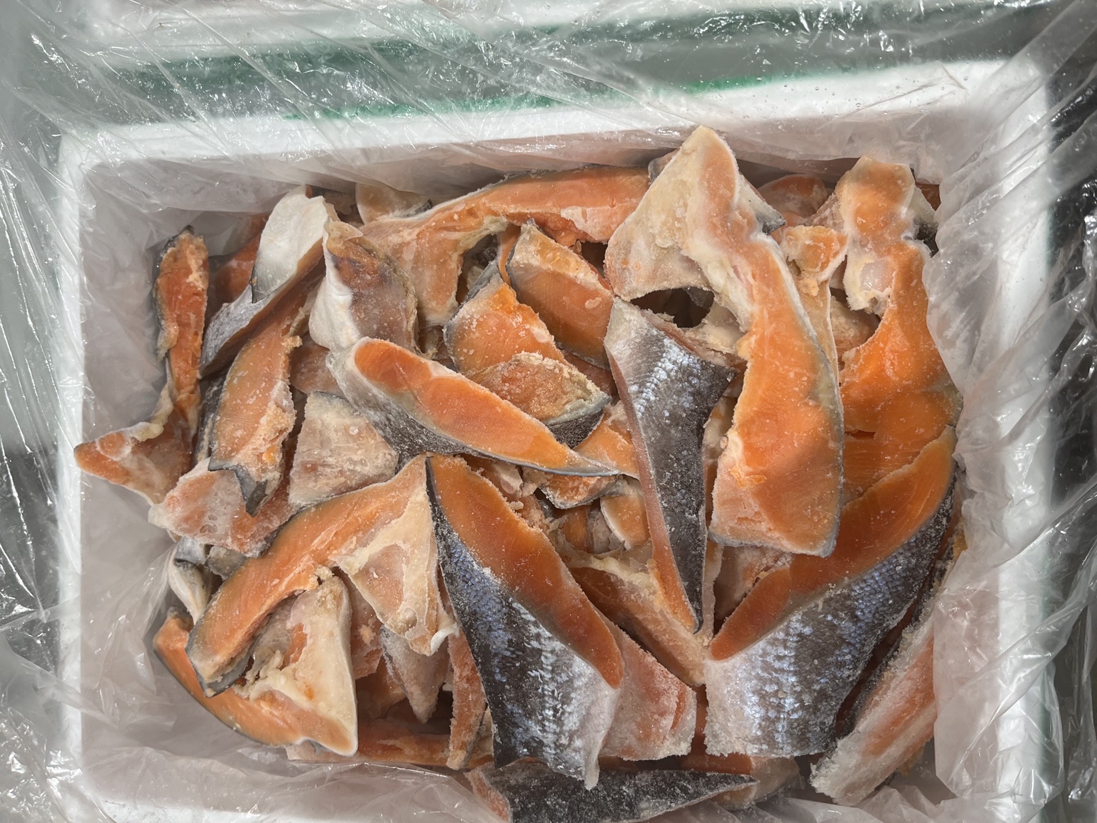 銀鮭約10kg | UUUO(ウーオ)