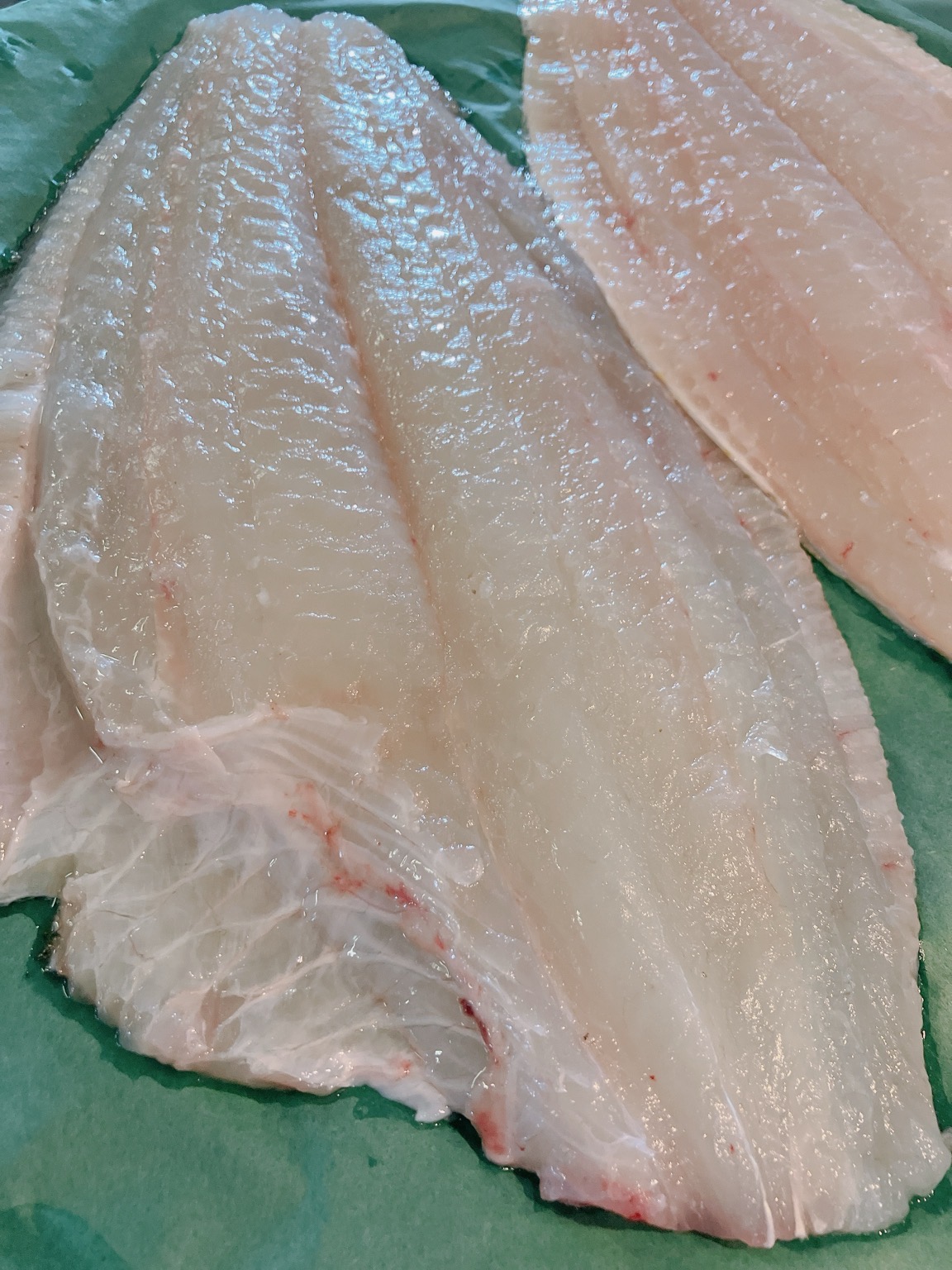 神経〆ヒラメ(定置) | UUUO(ウーオ)