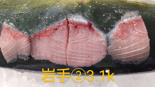 ワラサ3入約9kg(定置) | UUUO(ウーオ)