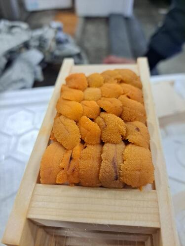 バフンウニ（板）1枚50g位5入約0.25kg | UUUO(ウーオ)