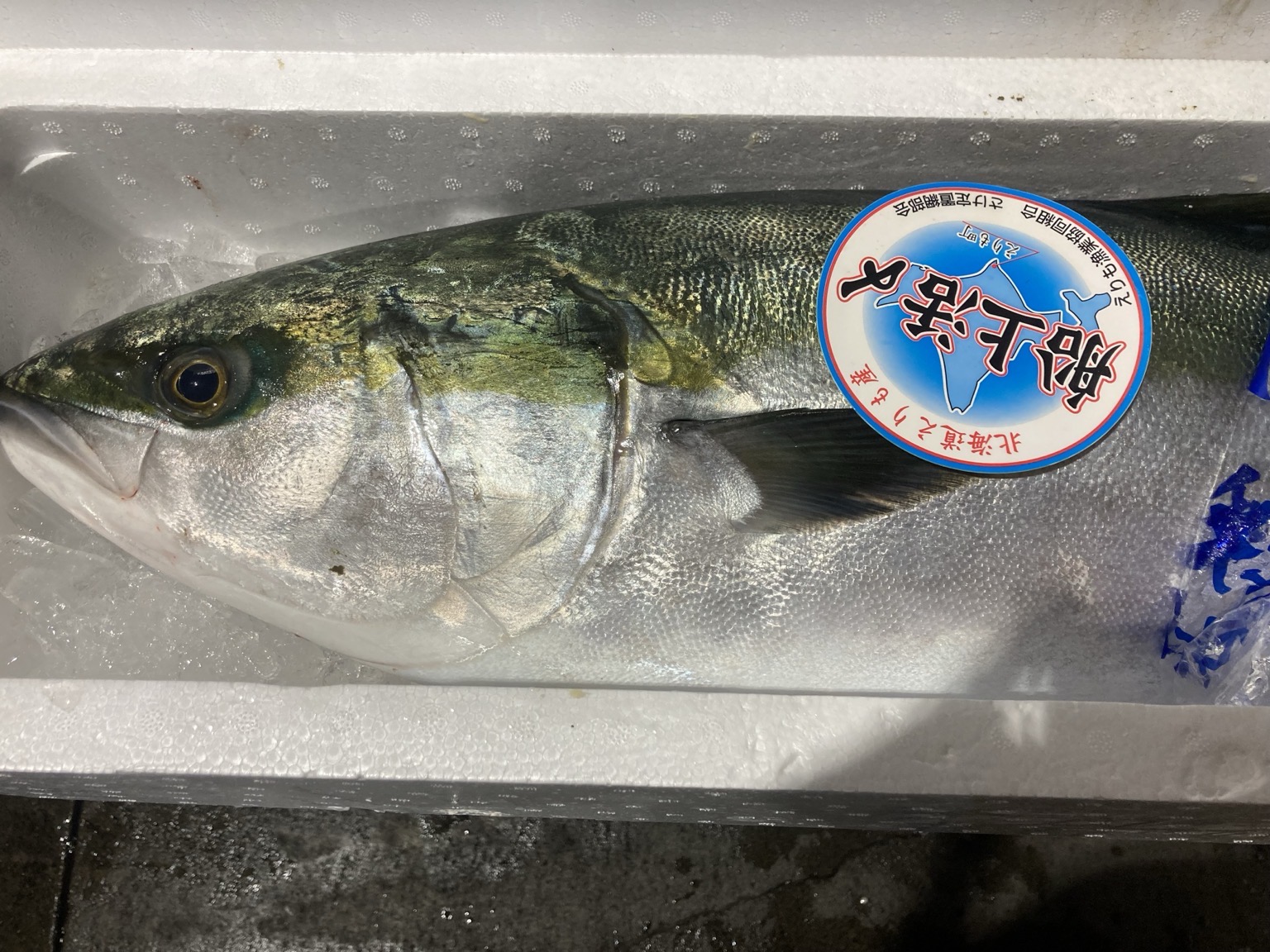 ブリ8k台1入約8.2kg | UUUO(ウーオ)