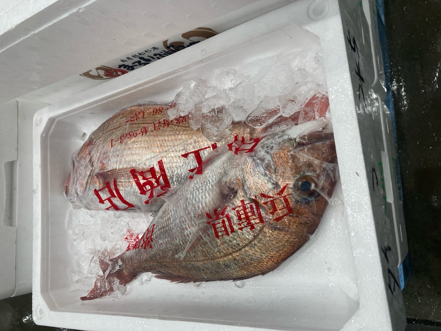 マダイ2入約2.5kg | UUUO(ウーオ)