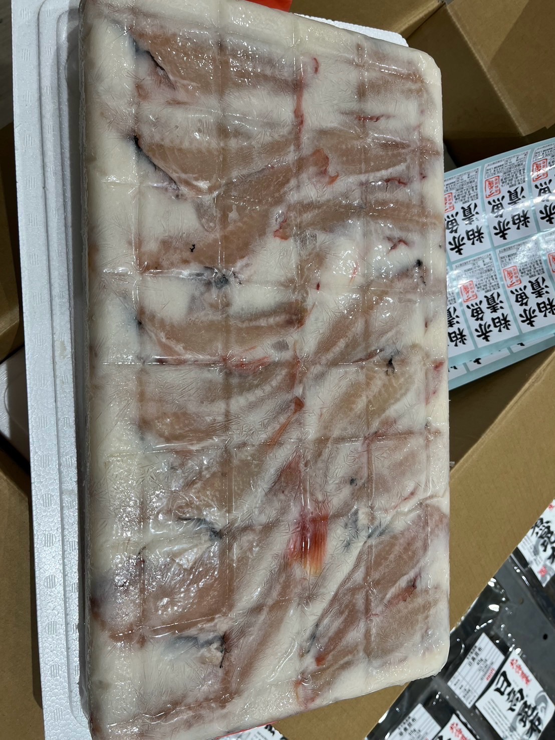 アカウオ約50g約9.6kg | UUUO(ウーオ)