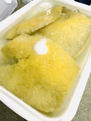 子持ち昆布JL1入約2kg(沿岸) | UUUO(ウーオ)