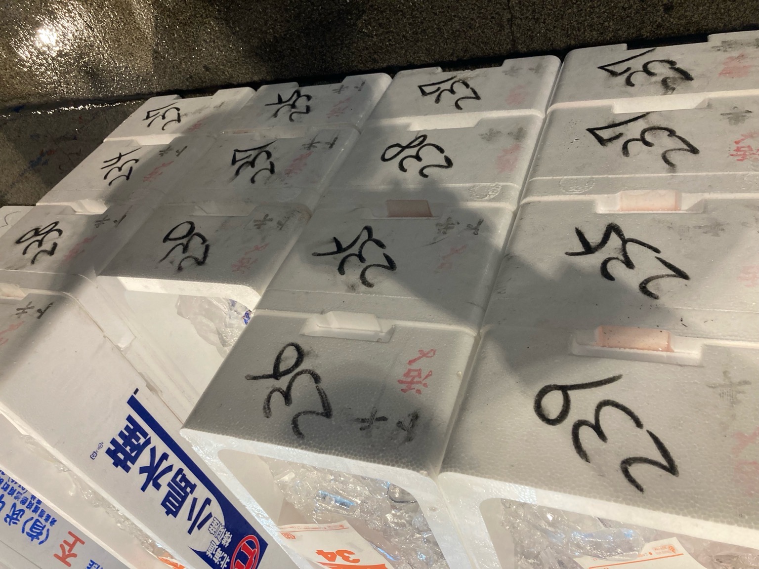 サケ（時不知）2入3k台2入約3.8kg(沿岸) | UUUO(ウーオ)