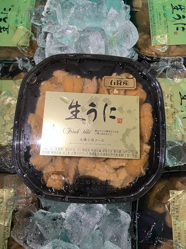 ウニ100G塩水6入約0.6kg | UUUO(ウーオ)