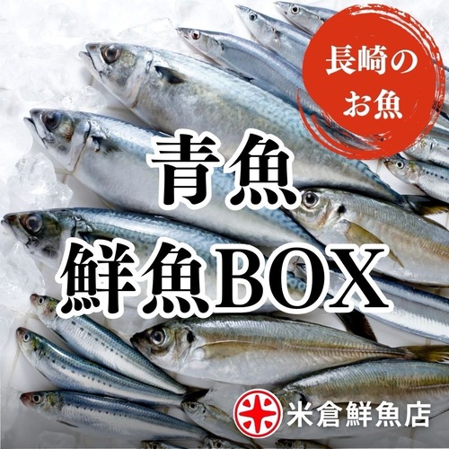 鮮魚BOX(沿岸) | UUUO(ウーオ)