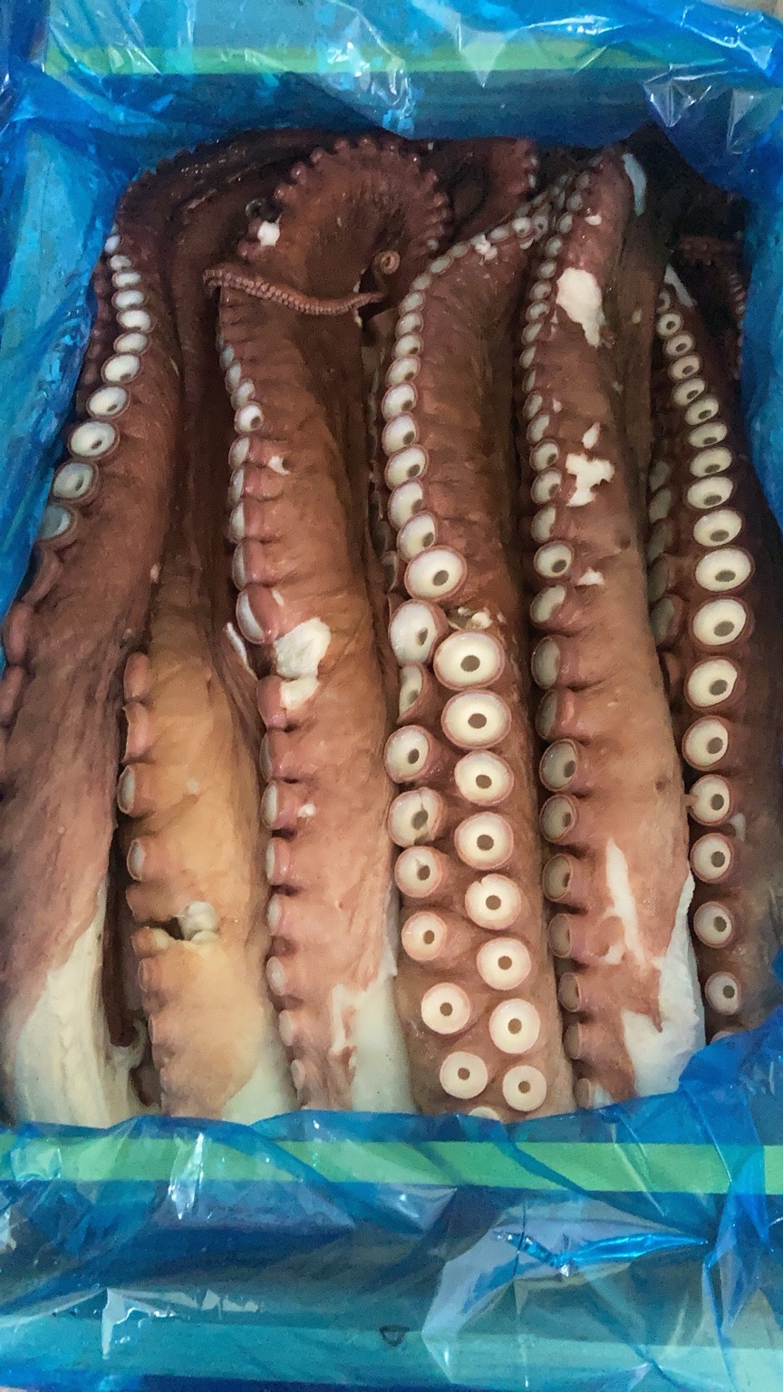 ミズダコ9-11本真大約10kg | UUUO(ウーオ)