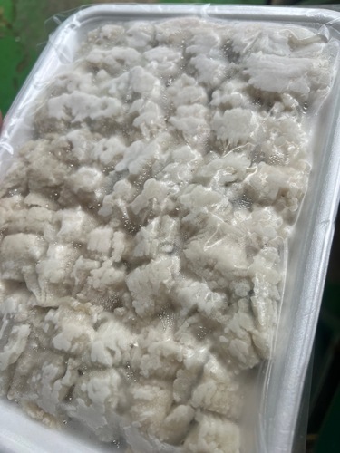 神経〆骨切りハモ500g 10pc入約5kg | UUUO(ウーオ)