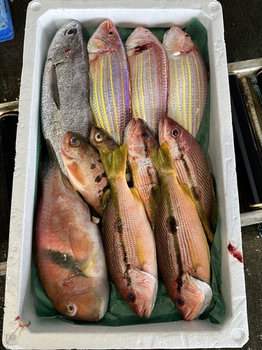 鮮魚BOX | UUUO(ウーオ)