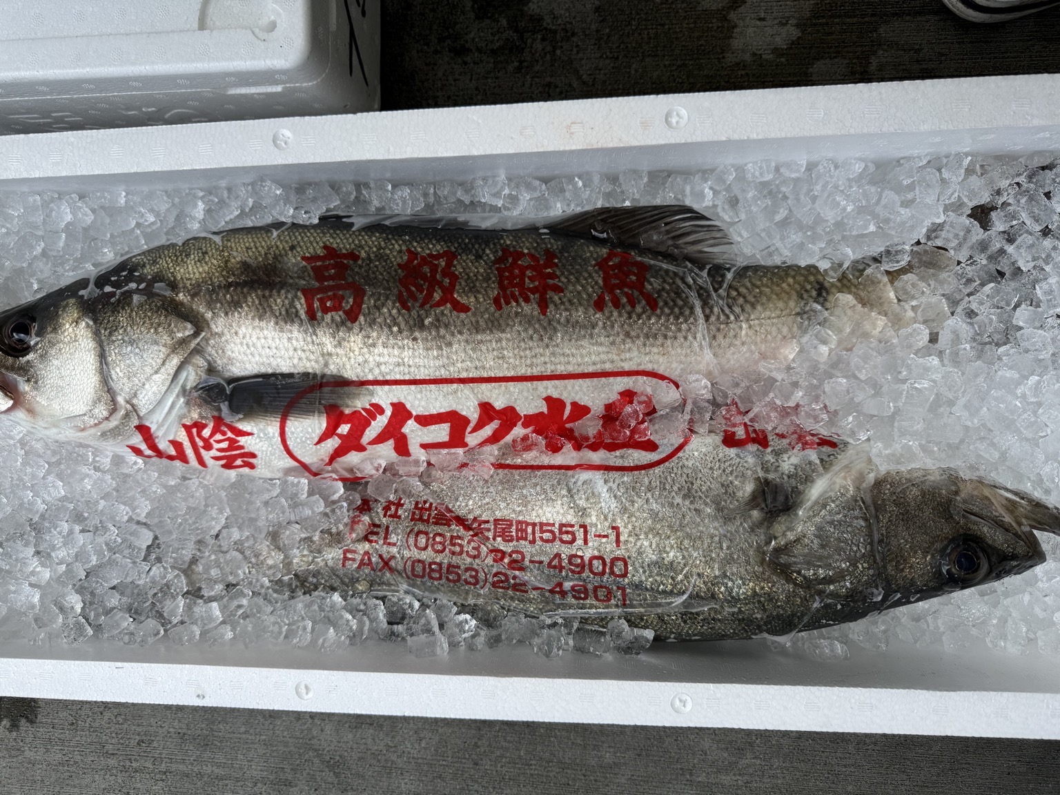 スズキ2入約5.2kg(定置) | UUUO(ウーオ)