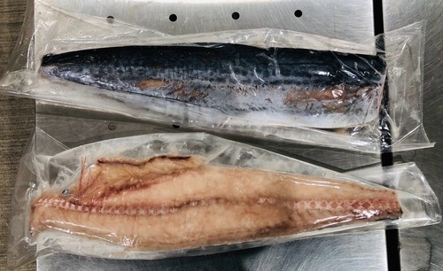 サワラ7/14枚約10kg | UUUO(ウーオ)