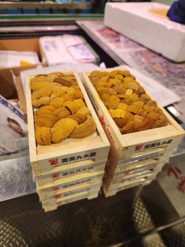 バフンウニ（板）10入約1kg | UUUO(ウーオ)