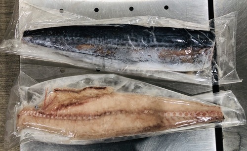 サワラ約10kg | UUUO(ウーオ)