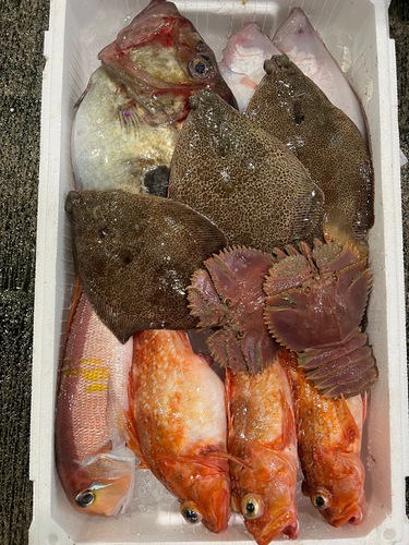 鮮魚BOX約4.5kg(底曳) | UUUO(ウーオ)