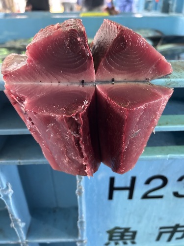 カツオ4入約10.5kg | UUUO(ウーオ)