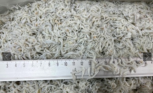 釜揚げシラス2kg6入約12kg | UUUO(ウーオ)