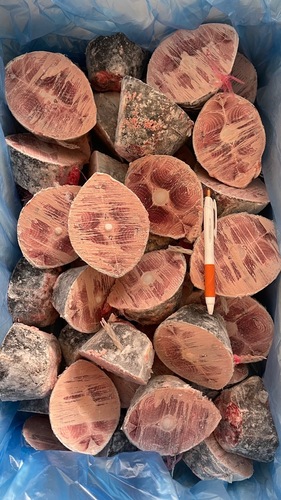 メバチマグロ10k上尾肉約10kg | UUUO(ウーオ)