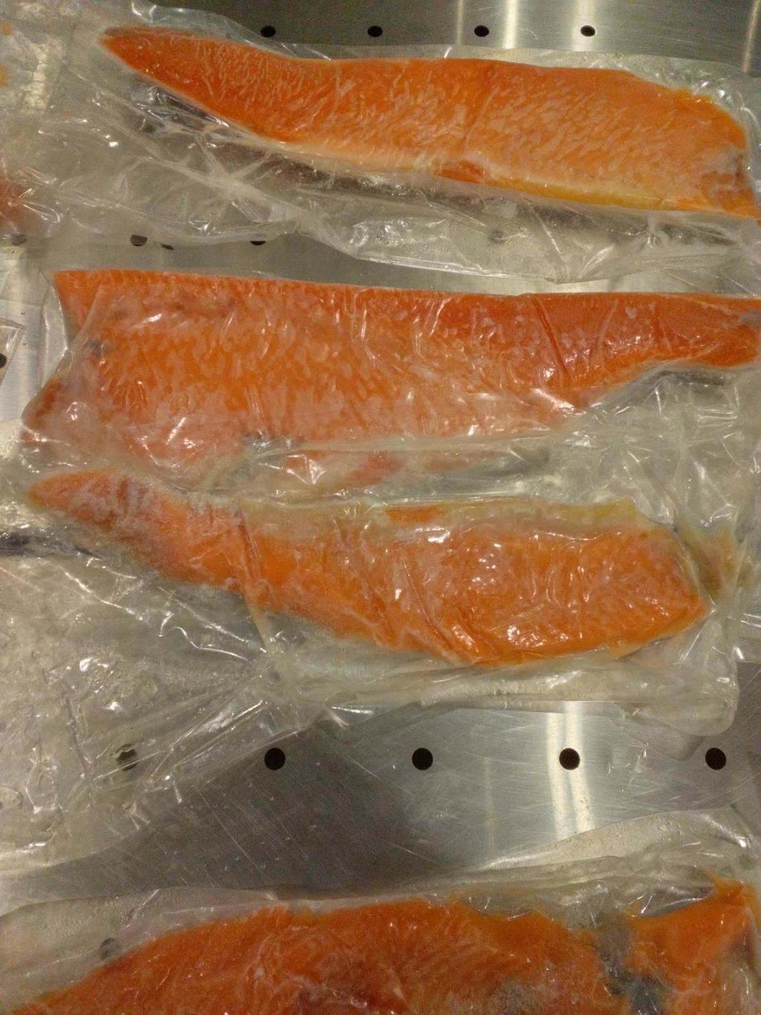 銀鮭約8kg | UUUO(ウーオ)