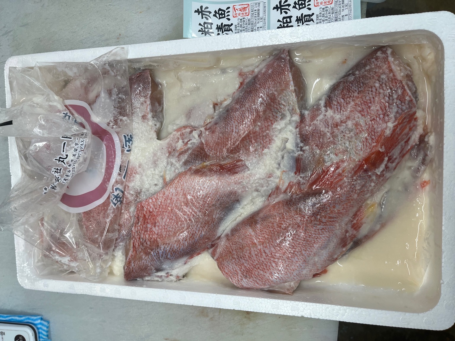 アカウオ220g up約1.05kg | UUUO(ウーオ)