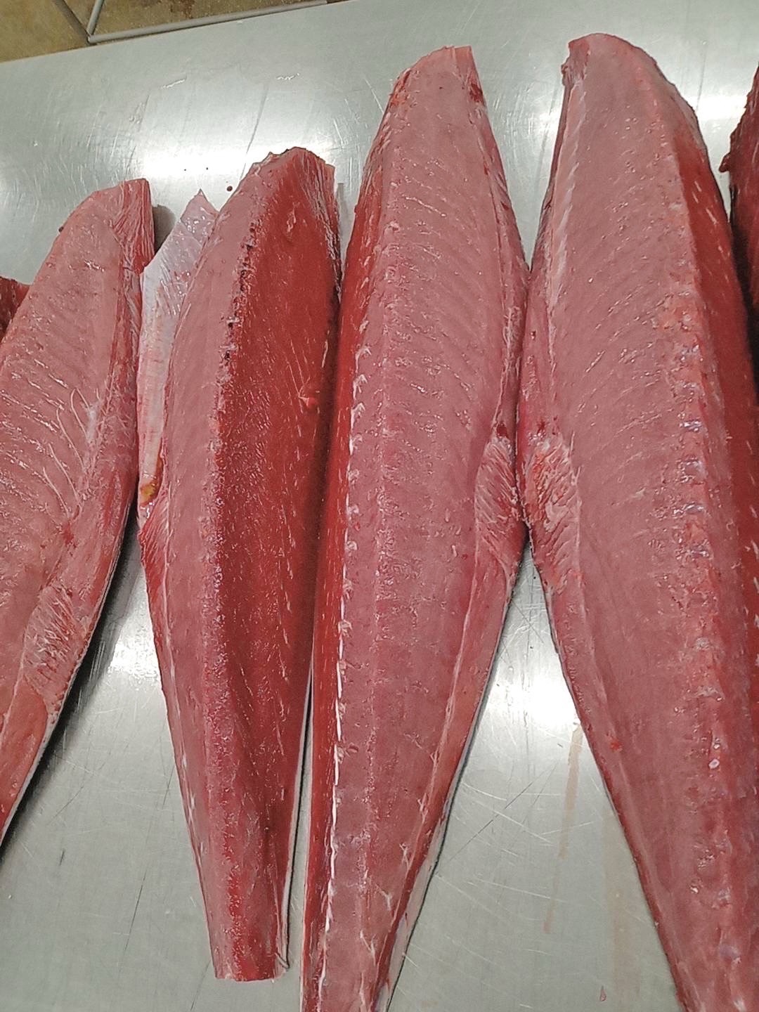 キハダマグロ生きはだロイン（背腹指定なし）1入約6.5kg(巻網) | UUUO(ウーオ)