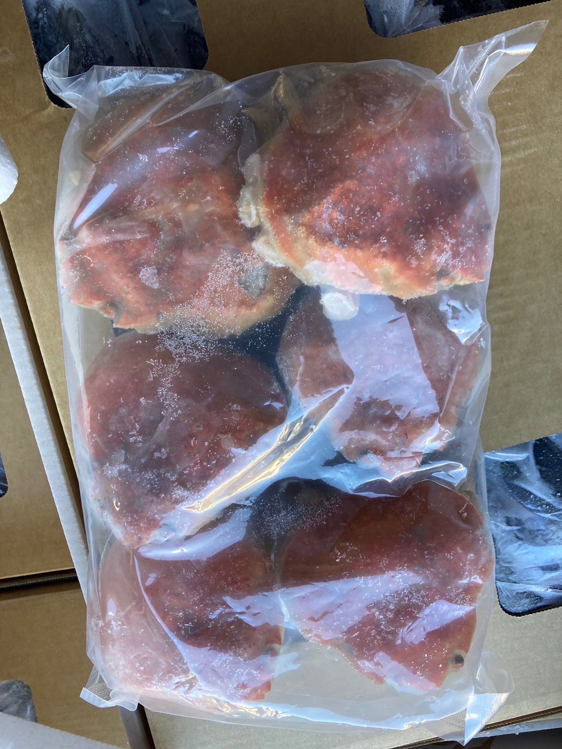 ズワイガニ約6kg | UUUO(ウーオ)