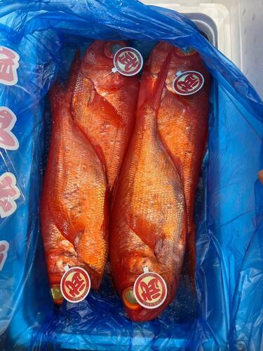 キンメダイ5k台6入約5kg(釣) | UUUO(ウーオ)