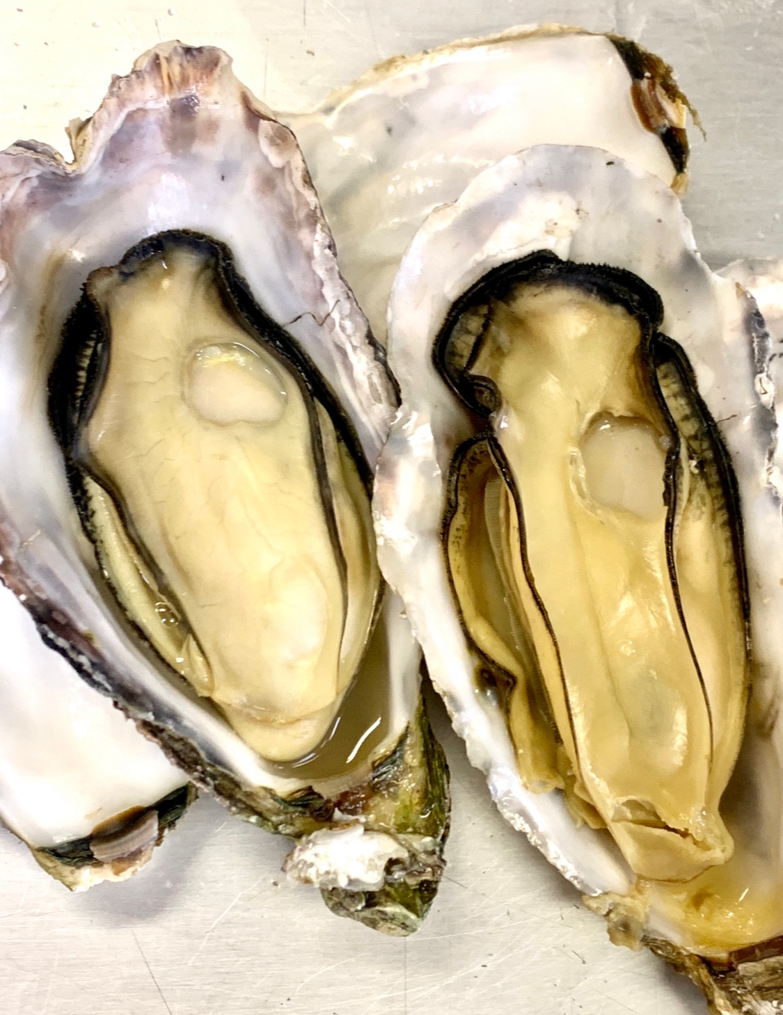 牡蠣（加熱用）殻付き牡蠣レンジパック12入約4.8kg(養殖) | UUUO(ウーオ)