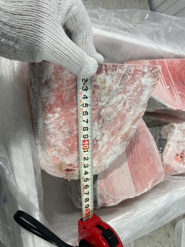 本マグロ（冷凍）10~15K1入約10kg | UUUO(ウーオ)