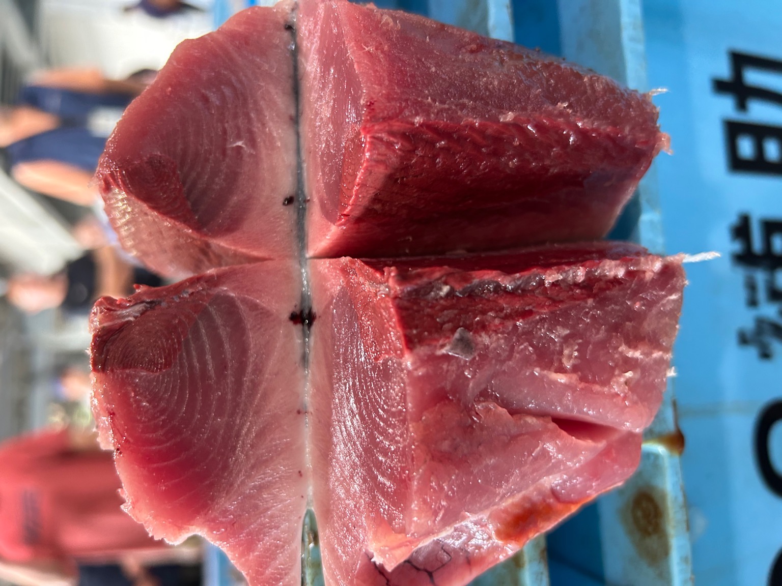 カツオ4入約10.5kg | UUUO(ウーオ)