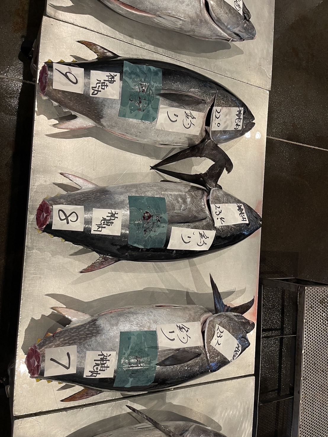 メジマグロ1入約20kg | UUUO(ウーオ)