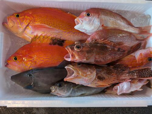 鮮魚BOX11入約5.2kg(釣) | UUUO(ウーオ)