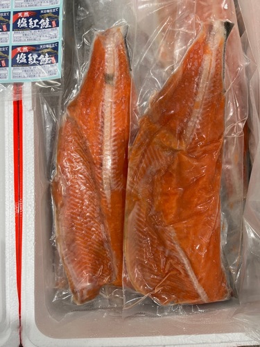 紅鮭約8kg | UUUO(ウーオ)