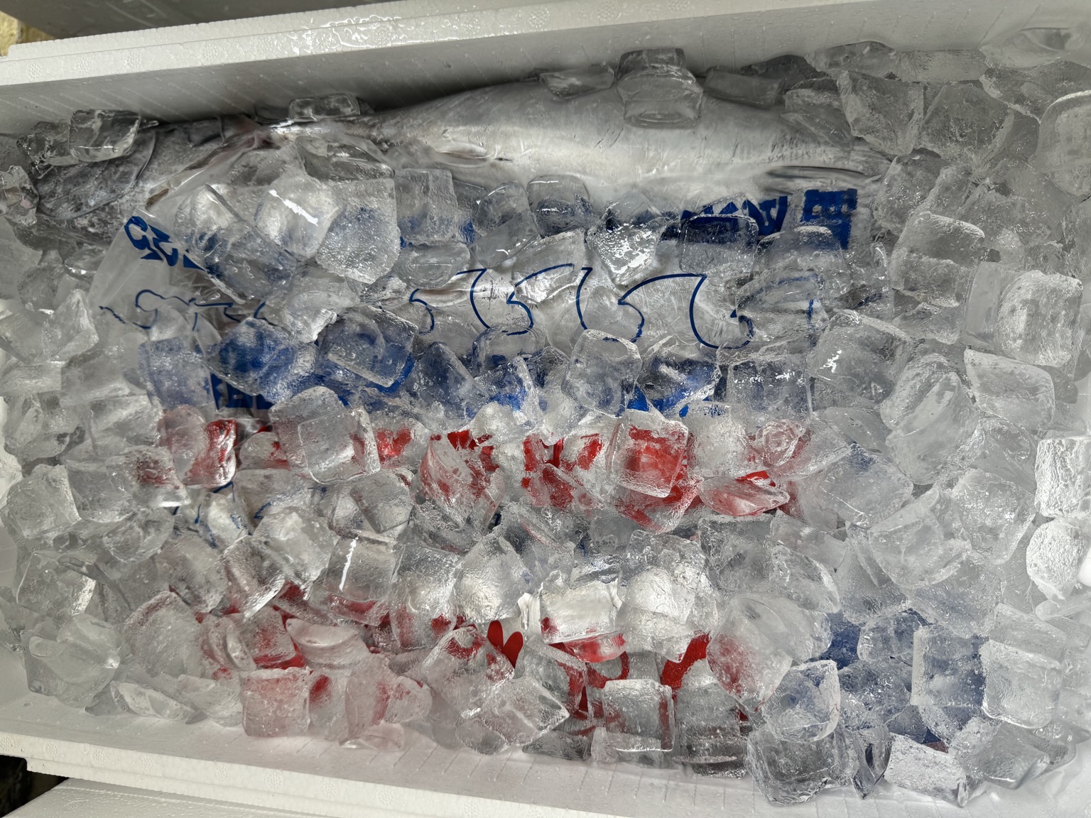 平ソウダガツオ8入約8.8kg(定置) | UUUO(ウーオ)