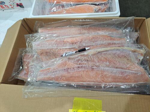 サケ7入約10kg(沿岸) | UUUO(ウーオ)