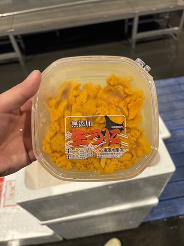 バフンウニ（塩水）5入約0.5kg | UUUO(ウーオ)