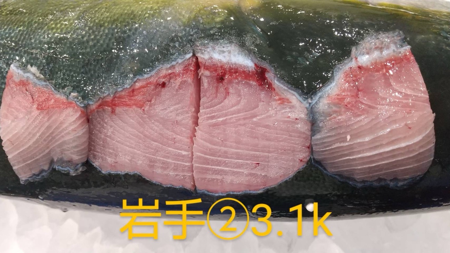 ワラサ3入約9kg(定置) | UUUO(ウーオ)