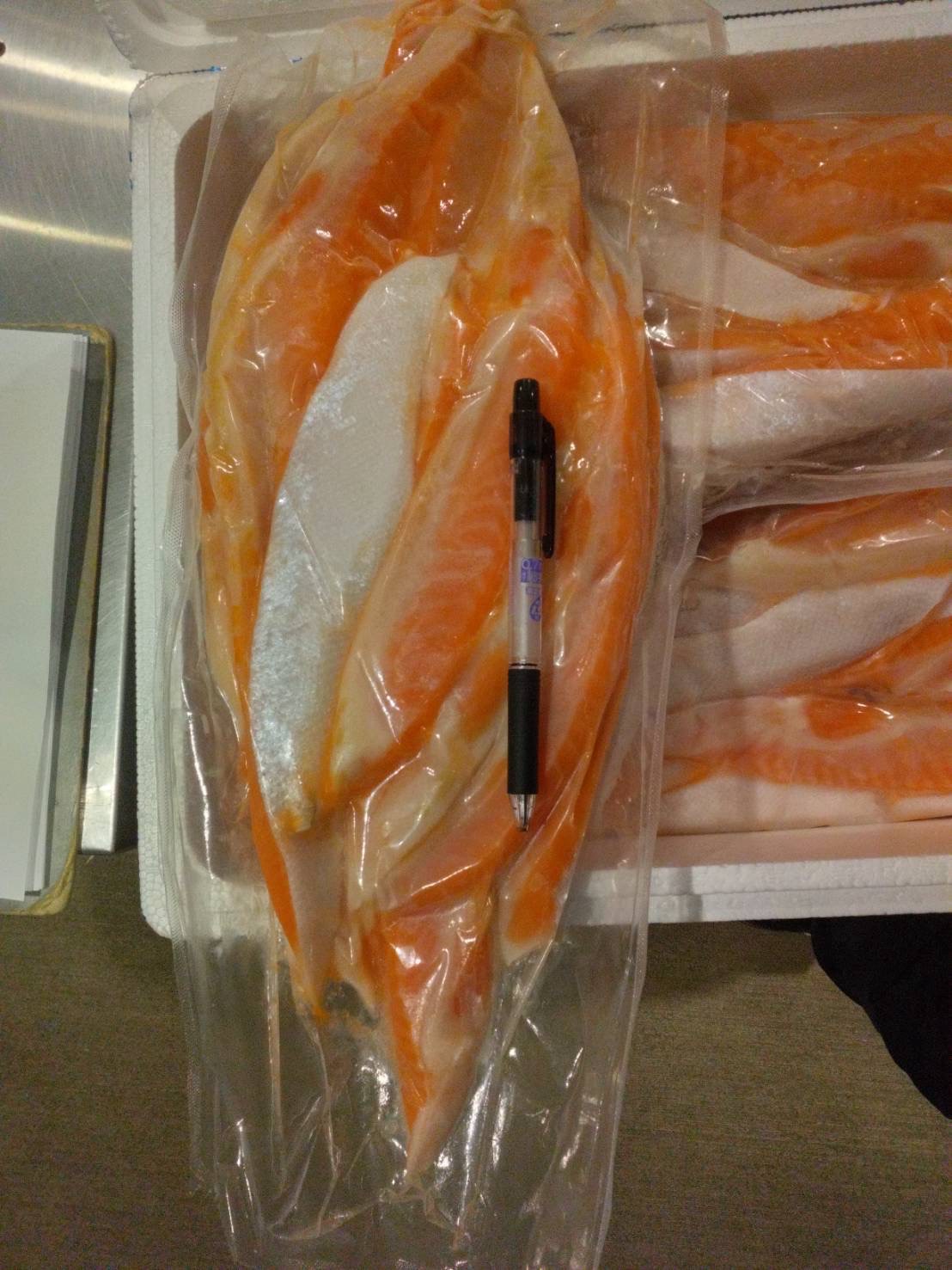 銀鮭約8kg | UUUO(ウーオ)